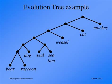 Ppt Phylogeny Reconstruction From Experimental Data Powerpoint