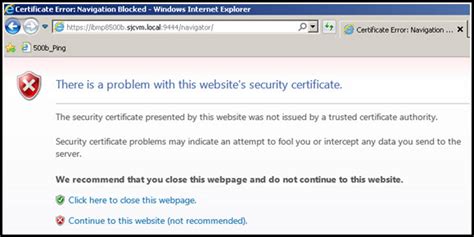 Configuring Your Browser For Trusted HTTPS Connections To IBM Content Navigator And Box
