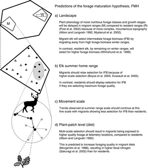 Hierarchical Framework For Testing The Forage Maturation Hypothesis At