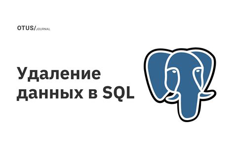 Удаление данных в Sql Otus