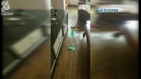 云南一男子吃见手青中毒裸奔上街打小人人