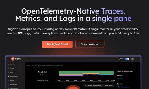 10 Best Apm Tools In 2025 With Detail Review