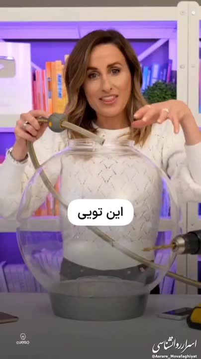 Sara Behnam Posted On Linkedin