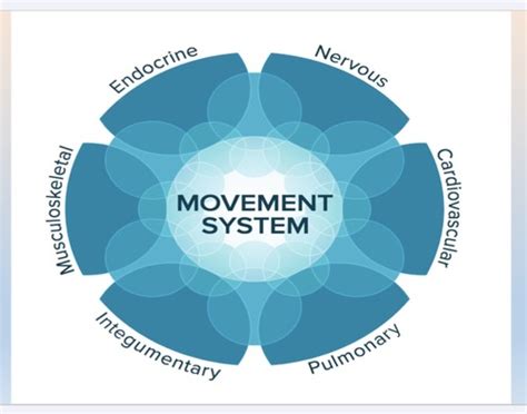 Laboratory Values Flashcards Quizlet