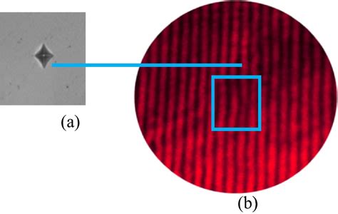 Moiré Fringes Of Sample After Indentation Knoop For Force Loads Of