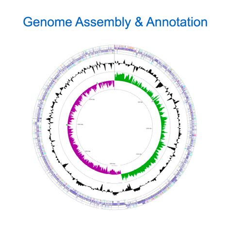 Canadian Centre For Computational Genomics C3g Website