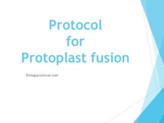 Protocol For Protoplast Isolation Online Biology Notes