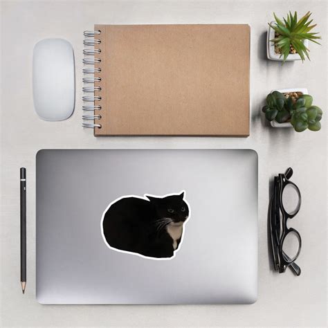 Spinning Cat Maxwell Dingus Sticker Decal Vinyl Meme Cats Kitty Durable