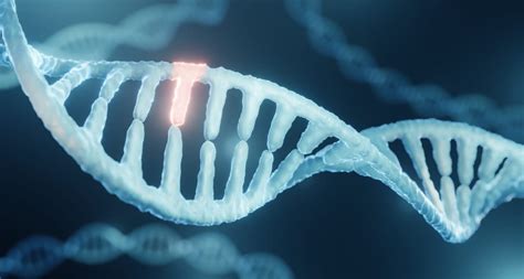 What Is A Mutation