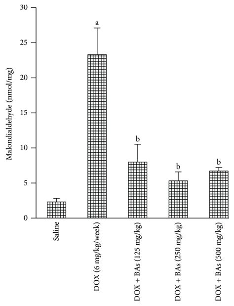Protective Effect Of Boswellic Acids Against Doxorubicin Induced Hepatotoxicity Impact On Nrf2