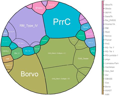 Voronoi Treemaps Of Anti Phage Defense System Distribution In Total