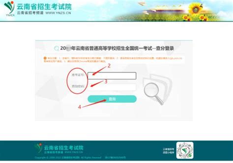 2023年云南高考成绩分数段、录取分数线公布→澎湃号·媒体澎湃新闻 The Paper