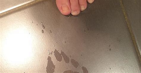 Am I Turning Into A Werewolf Album On Imgur