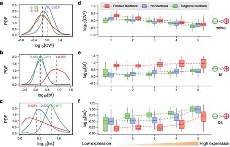 Genome Wide Comparison Of Transcriptional Burst Kinetics In Three Cases Download Scientific