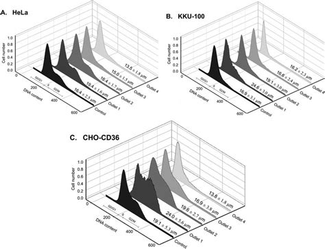 Cell Cycle Analysis Results With Permanent Cell Lines Histogram