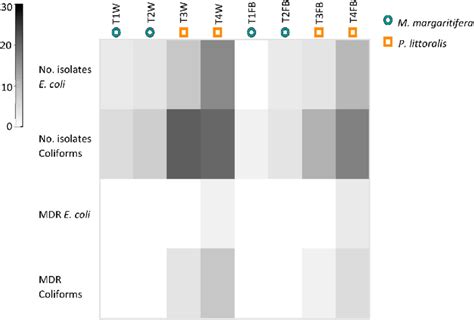 Shade Plot Of Total Number Of Isolates And Multidrug Resistant Mdr