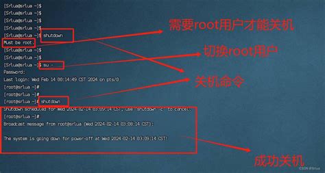 Linux系统查看语言环境方法详解:locale命令使用与多语言支持指南 Linux命令大全手册 Linux系统查看语言环境方法详解:locale命令使用与多语言支持指南 Linux命令大全手册