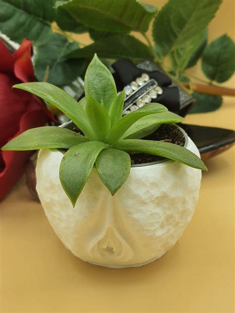 Flower Pot Vagina Yoni Vulva Etsy