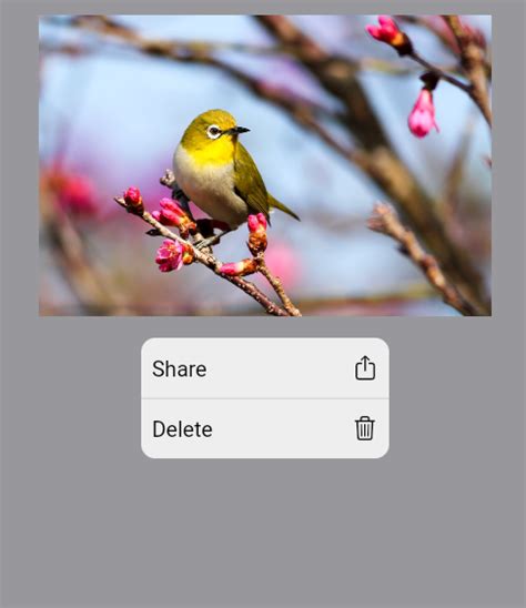 Cupertino Context Menu Ios Iphone Style Flutter By Suraj Kandel