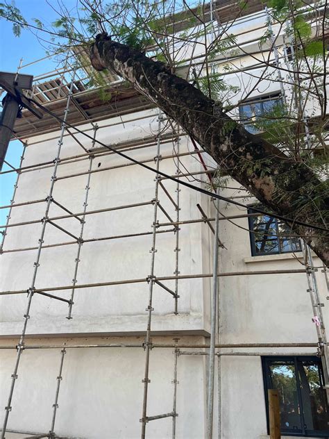 External Rendering Nextep