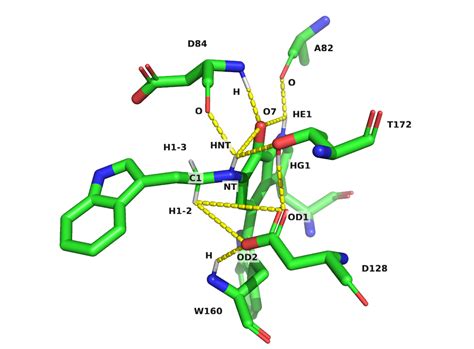 markov models of biomolecular systems rob arbon