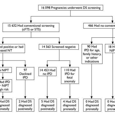 A Gross Specimen Of Aborted Parapagus Dicephalus Dibrachus Dipus 10 Download Scientific