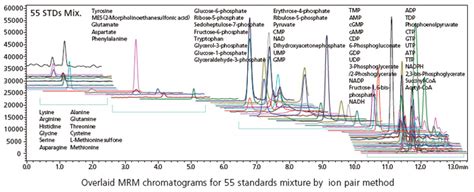 LC MS MS Method Package For Primary Metabolites SHIMADZU EUROPA