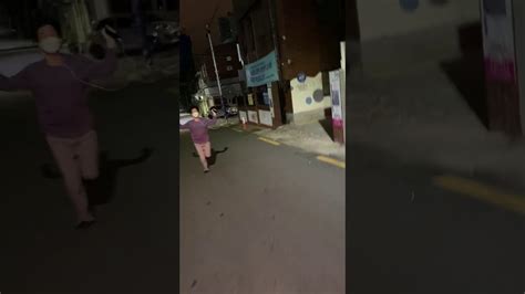 진격의 거인 기행종 Youtube