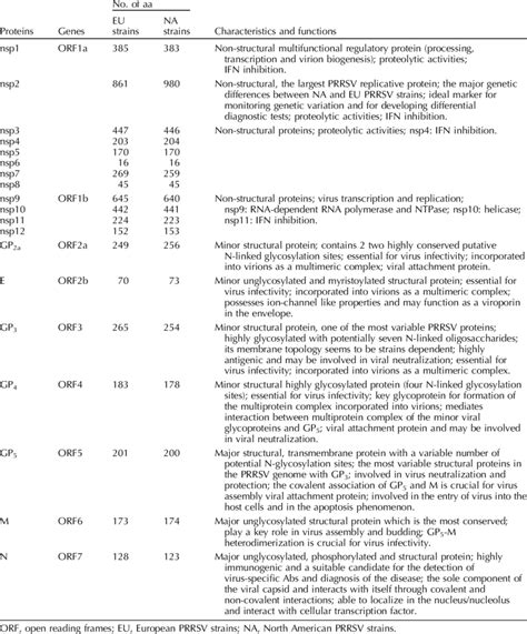 Prrsv Structural And Non Structural Proteins Characteristics And Functions Download Table