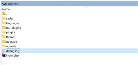 How To Activate Wordpress Debugging