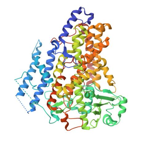 Rcsb Pdb 8x8f Crystal Structure Of Lipoxygenase From Enhygromyxa Salina