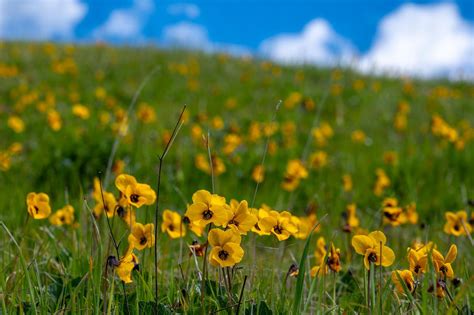 Hein Natural History Photography Ohlone Wilderness