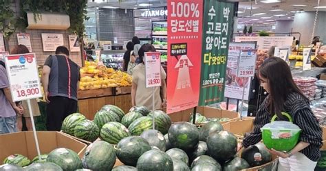 롯데마트·슈퍼 Ca 저장 수박 출시고당도 유지