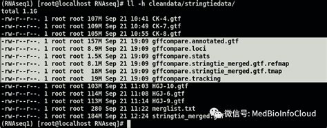 转录组分析转录组分析 使用stringtie对数据进行下游处理歪头羊的博客 Csdn博客