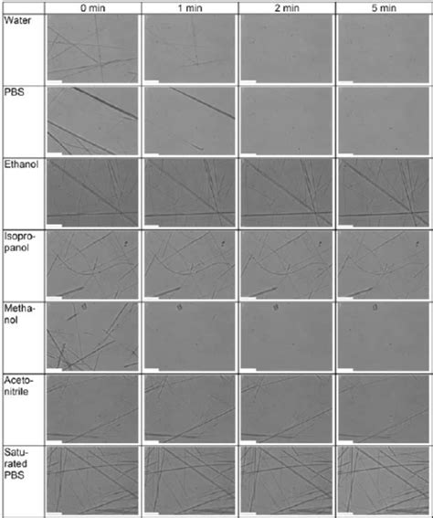 An Example Of Data From The HPLC Experiments Performed To Confirm The Download Scientific