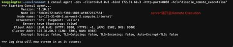 远程执行 remote execution aws workshop