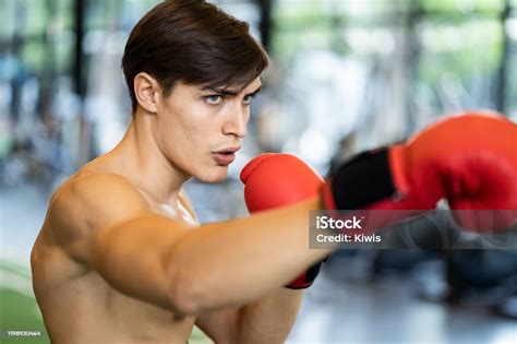 백인 잘 생긴 남자 권투 장갑을 입고 체육관 이나 피트 니스 클럽에서 한 주먹으로 앞으로 펀치 곰 가슴 좋은 몸 복싱 남성 심각한 얼굴앞으로 기대 건강 개념에 대한 적합성