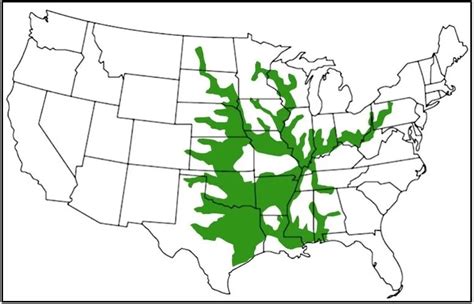 What Are The 34 Types Of Turtles Found In The Usa Id Guide Bird