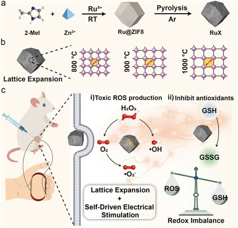 Lattice Expansion As A New Strategy For Improving Catalytic Activity And Electro Responsiveness
