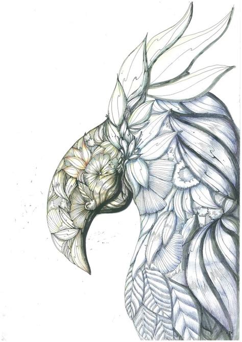 꽃새 일러스트 새 젠탱글 꽃