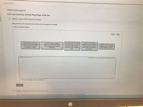 Solved Please Drag And Drop Correct Term In The Correct