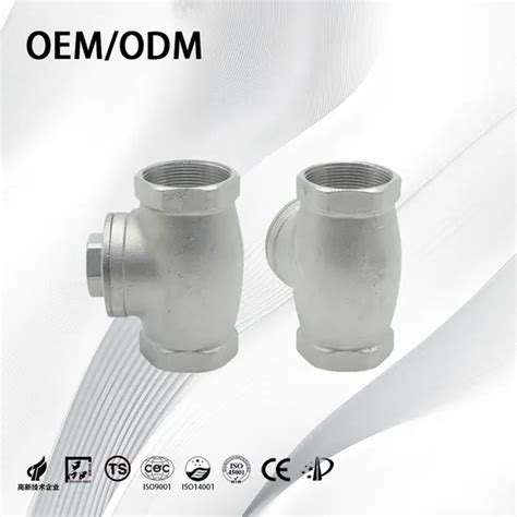Stainless Steel Spring Loaded Female Bsp Threaded Flow Control Check