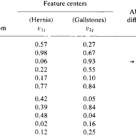 pdf pattern recognition with fuzzy objective function algorithms
