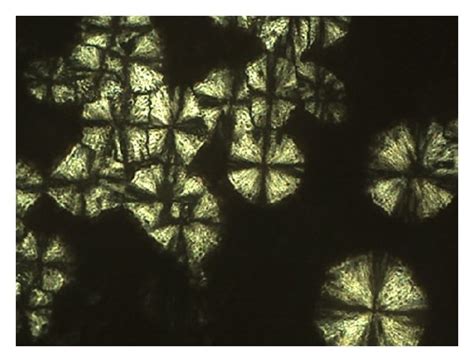 Polarized Light Microscopy Of The Lamellar Phase Anisotropic System Download Scientific Diagram