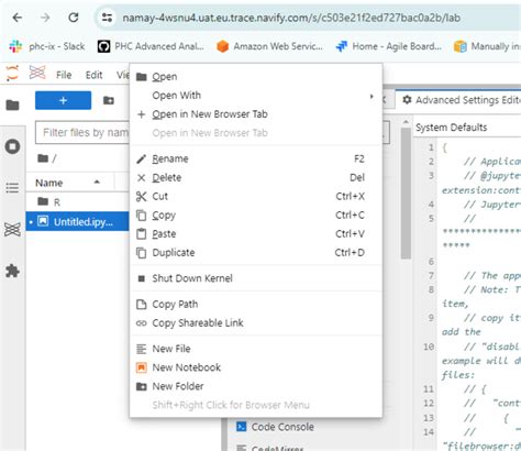Need To Disable Download Option From Jupyter Lab Session In Posit Workbench Jupyterhub