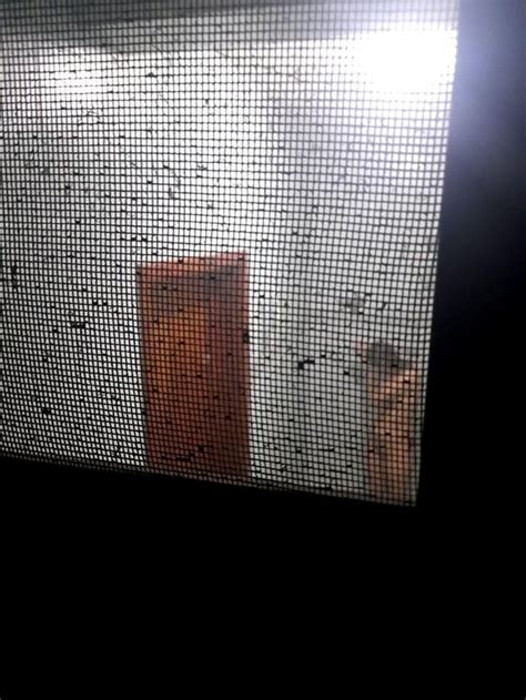 La Putita De Mi Prima Mariana Razo Godinez Rxrolhispano