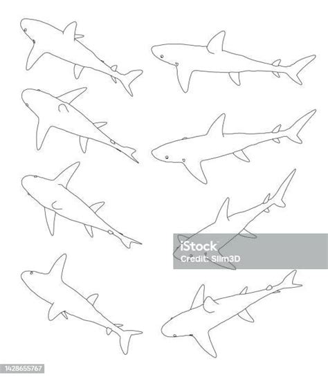 흰색 배경에 고립 된 검은 선과 다른 위치에있는 상어의 윤곽선으로 설정됩니다 아이소메트릭 뷰 벡터 일러스트레이션 개념에 대한 스톡 벡터 아트 및 기타 이미지 Istock