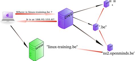How To Determine Which Dns Server Is Used Linux