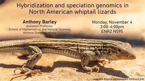Hybridization And Speciation Genomics In North American Whiptail Lizards Ecology