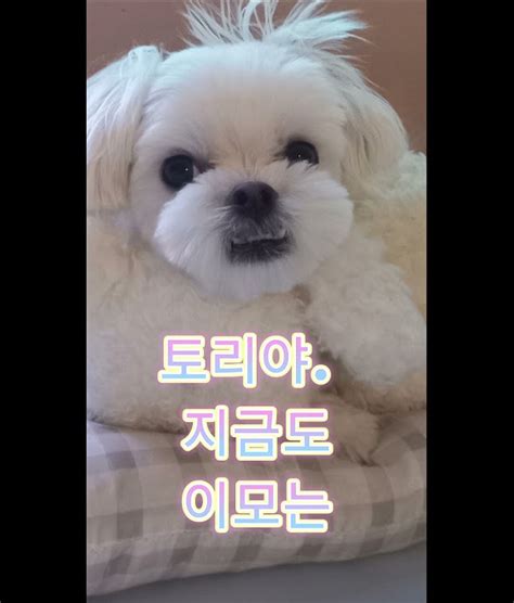 아무에게나 보냬지않겠다 하는 저의신념이 무너지지않게해주세요 한분저에게 사진주시고 질문하실때 저는 하루에 20통넘게 아이들상담해요저도 개인 가정주부 직장인 유튜브는